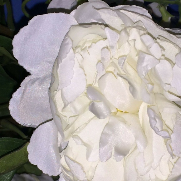 QVC - PEONY | Accents | Peony And Wisteria Arrangement In Vase Cream ...